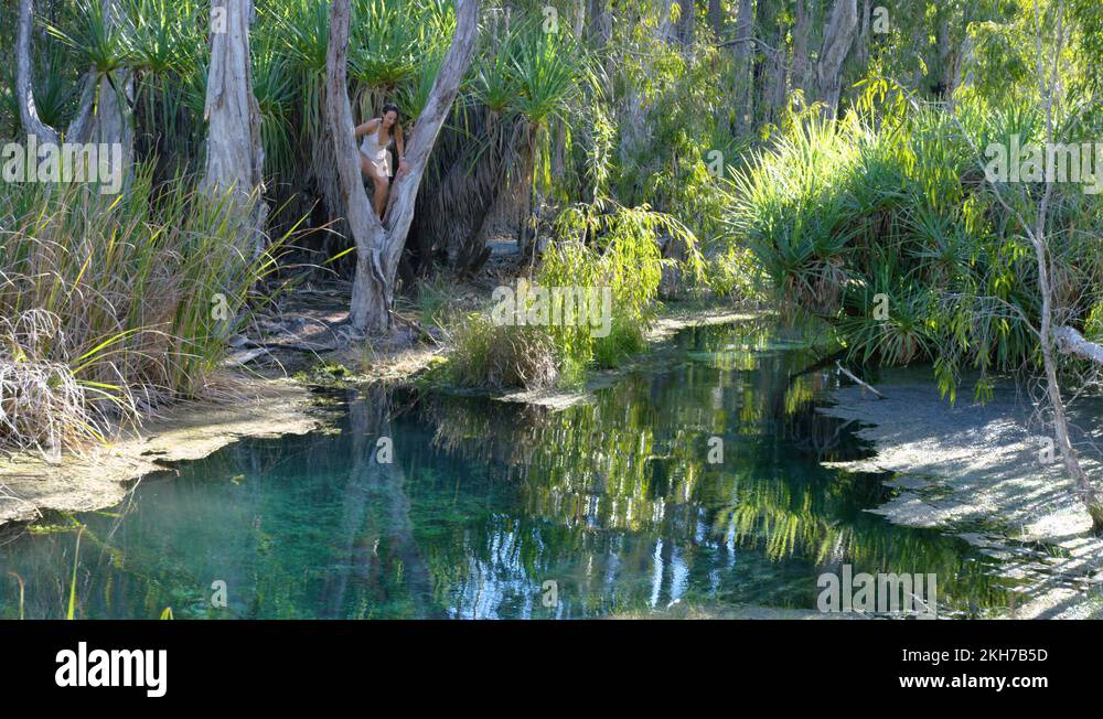 Thermal spring australia Stock Videos & Footage - HD and 4K Video Clips ...