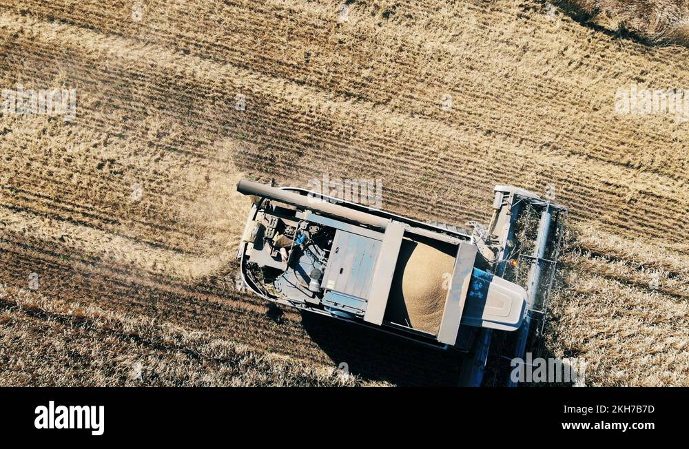 Processing wheat Stock Videos & Footage - HD and 4K Video Clips - Alamy