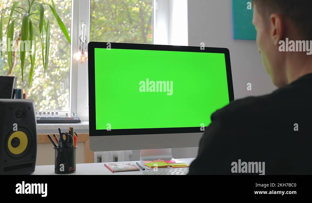 Smart man working at home in loft room on personal computer with green ...