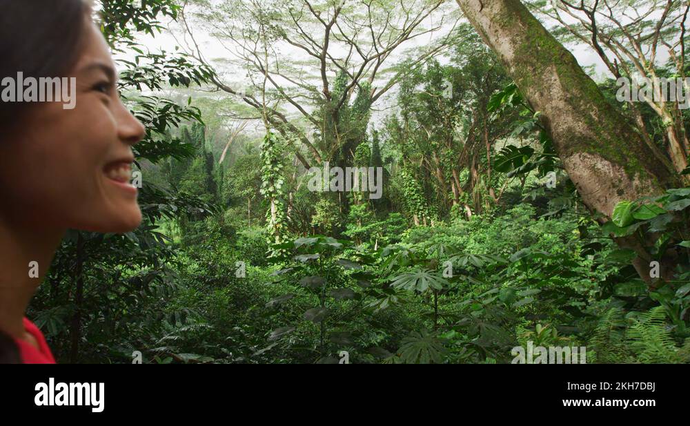 People in rainforest Stock Videos & Footage - HD and 4K Video Clips - Alamy