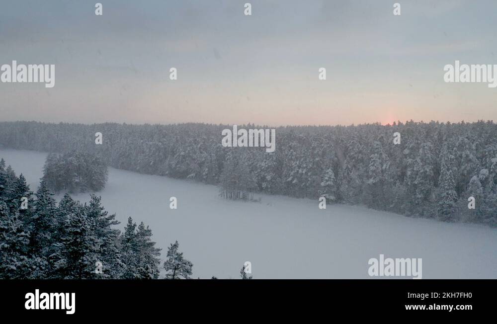 Snow dropping Stock Videos & Footage - HD and 4K Video Clips - Alamy