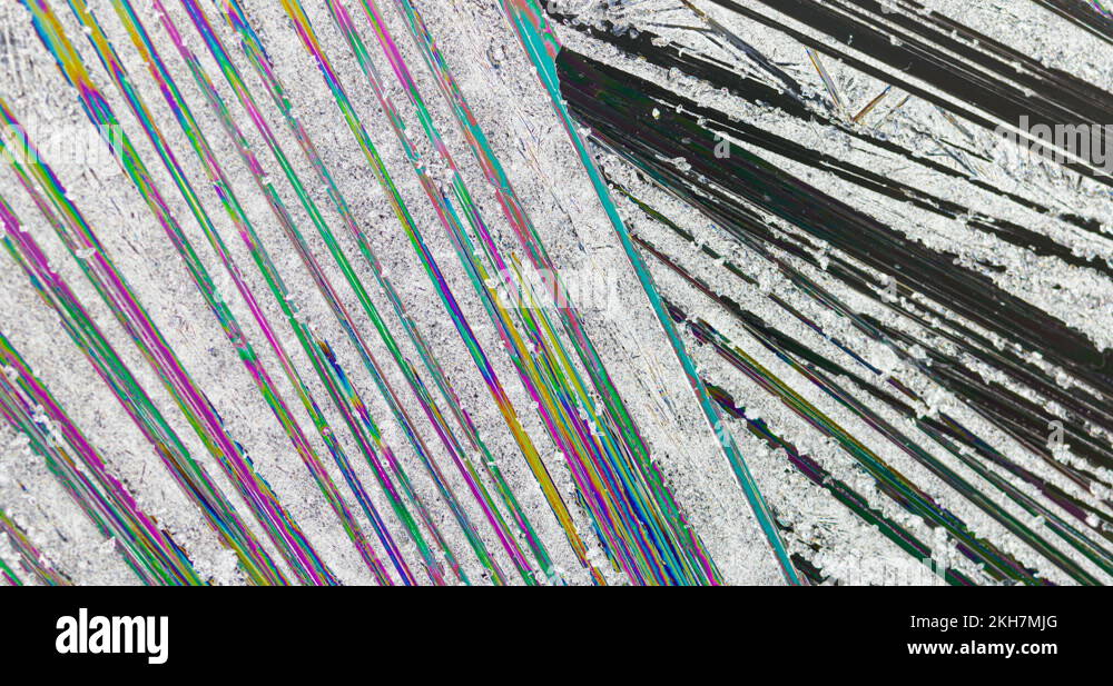 Light micrograph light microscope Stock Videos & Footage - HD and 4K Video Clips - Alamy