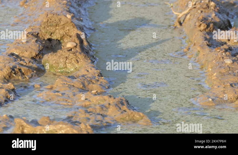 Polluted puddle Stock Videos & Footage - HD and 4K Video Clips - Alamy