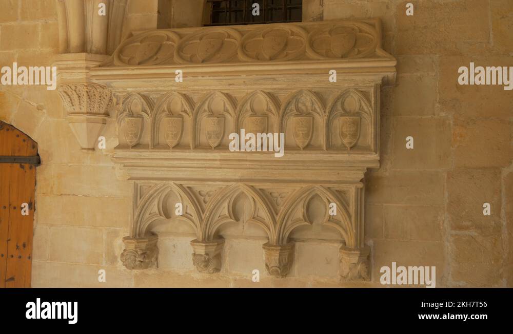 Dead bones Stock Videos & Footage - HD and 4K Video Clips - Alamy