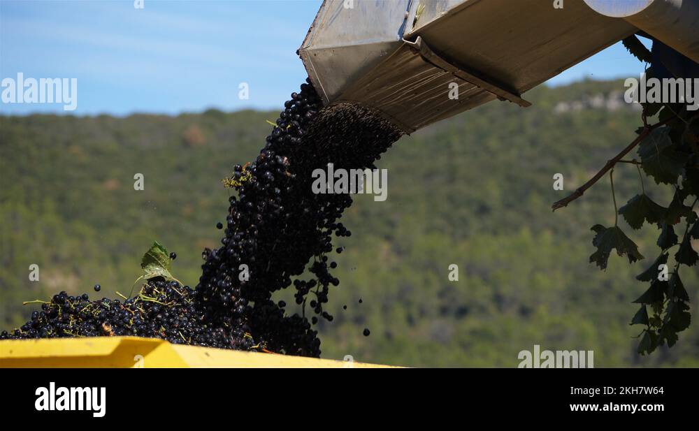 Harvest france Stock Videos & Footage - HD and 4K Video Clips - Alamy