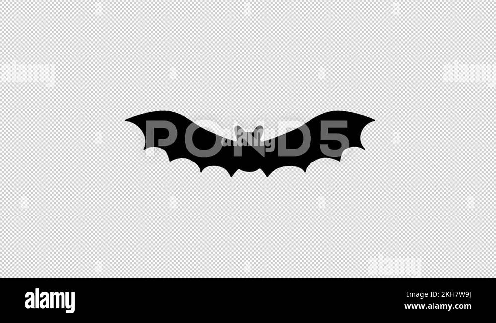An animated bat is flying. Looped animation. Alpha channel Stock Video ...