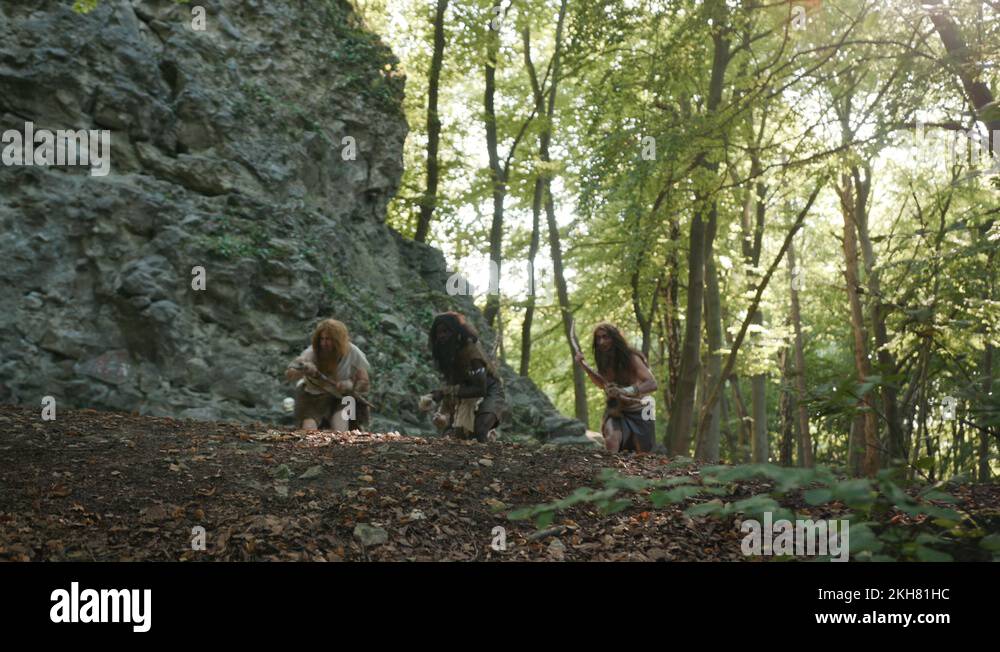 Prehistoric family not elephant Stock Videos & Footage - HD and 4K ...