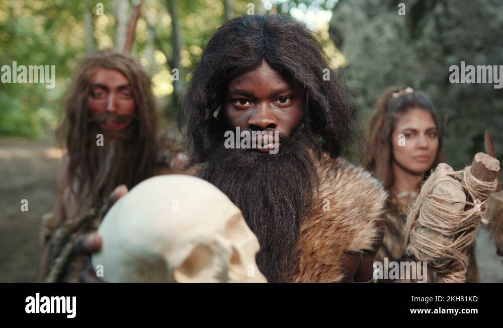 Cro magnon skull Stock Videos & Footage - HD and 4K Video Clips - Alamy