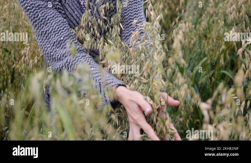 Grab and release Stock Videos & Footage - HD and 4K Video Clips - Alamy