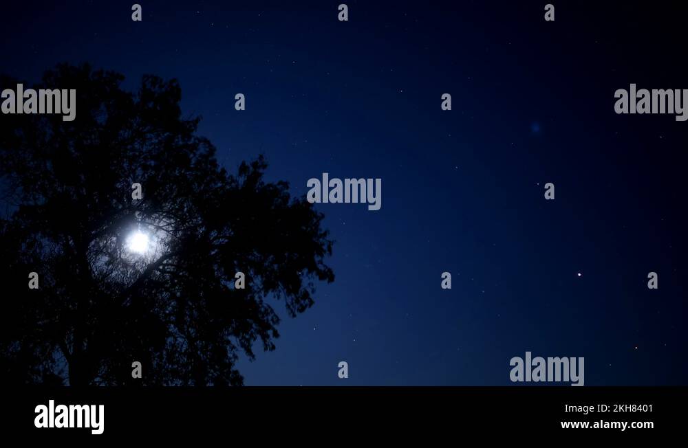 Night starry sky. A shooting star in the sky. Moon behind tree branches. The Stock Video Footage ...