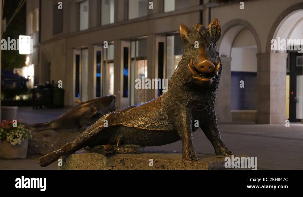 The Statue Of Boar Outdoors Stock Video Footage - Alamy