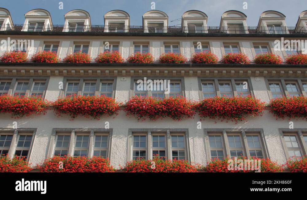 Wall beautification Stock Videos & Footage - HD and 4K Video Clips - Alamy