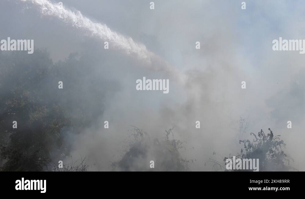 Firefighter protect trees by spraying water on waste fire to avoid big ...