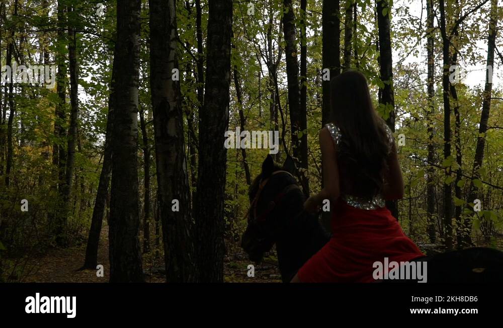 Girl horse riding red hair Stock Videos & Footage - HD and 4K Video ...