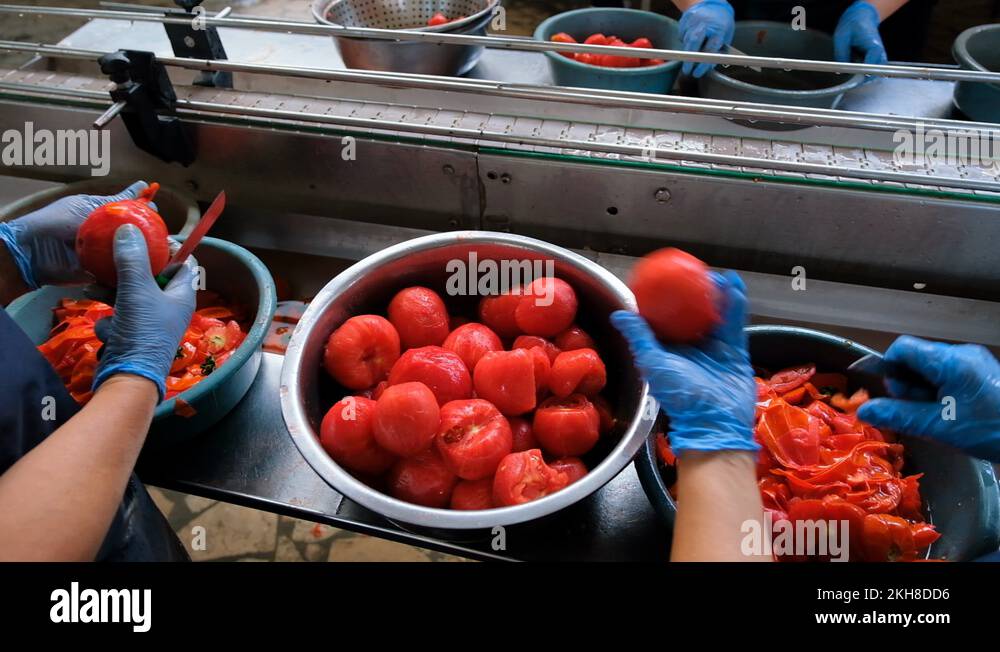 Clean tomatoes Stock Videos & Footage - HD and 4K Video Clips - Alamy