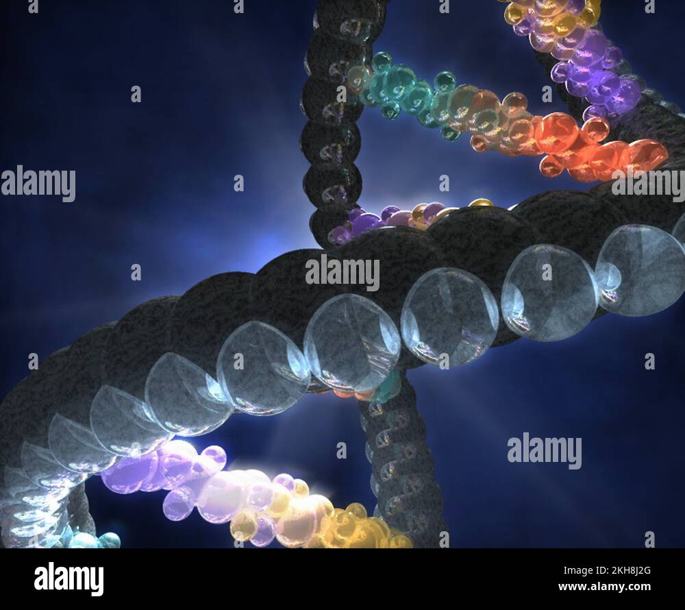 computer animated video clip of a tilt up on a strand of dna as it ...