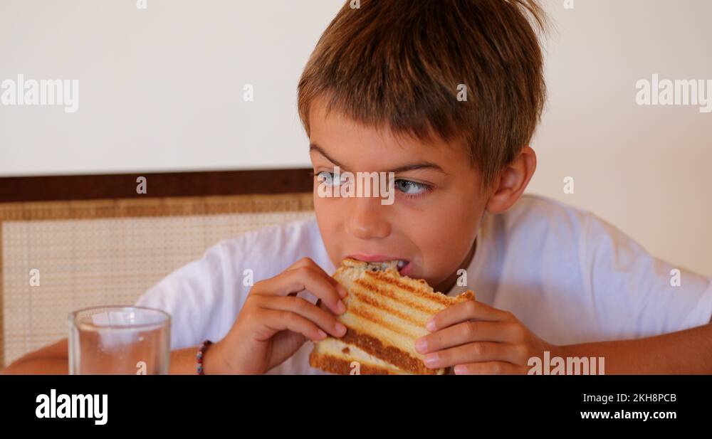 Child eating sandwich handsome young boy taking a bite of his ham and ...