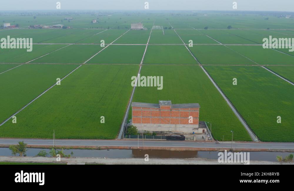 Paddy fields in malaysia Stock Videos & Footage - HD and 4K Video Clips ...