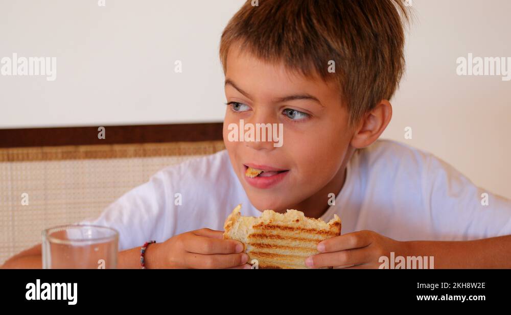 Child eating sandwich handsome young boy taking a bite of his ham and ...
