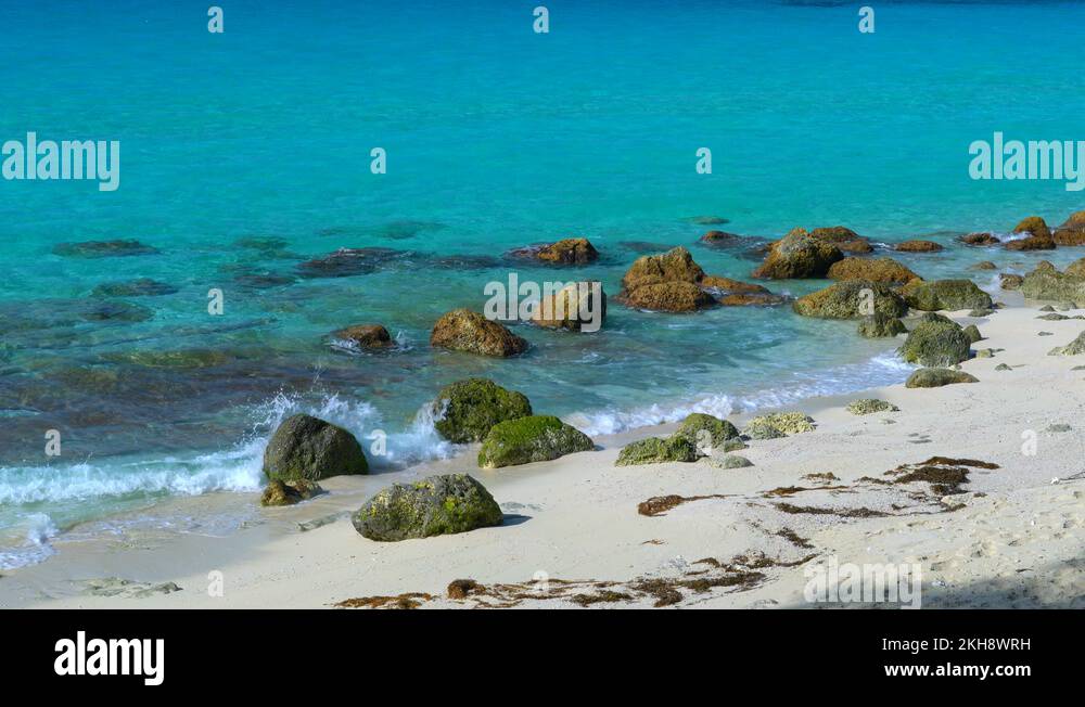 Stones on the Beach Bahamas Bimini 4K Stock Video Footage - Alamy