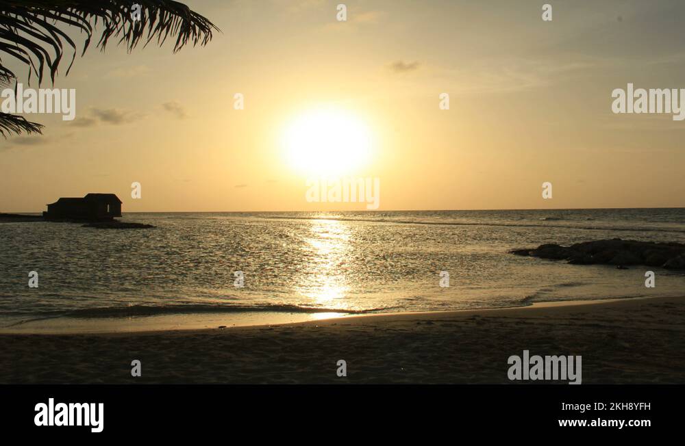 Jamaica culture Stock Videos & Footage - HD and 4K Video Clips - Alamy
