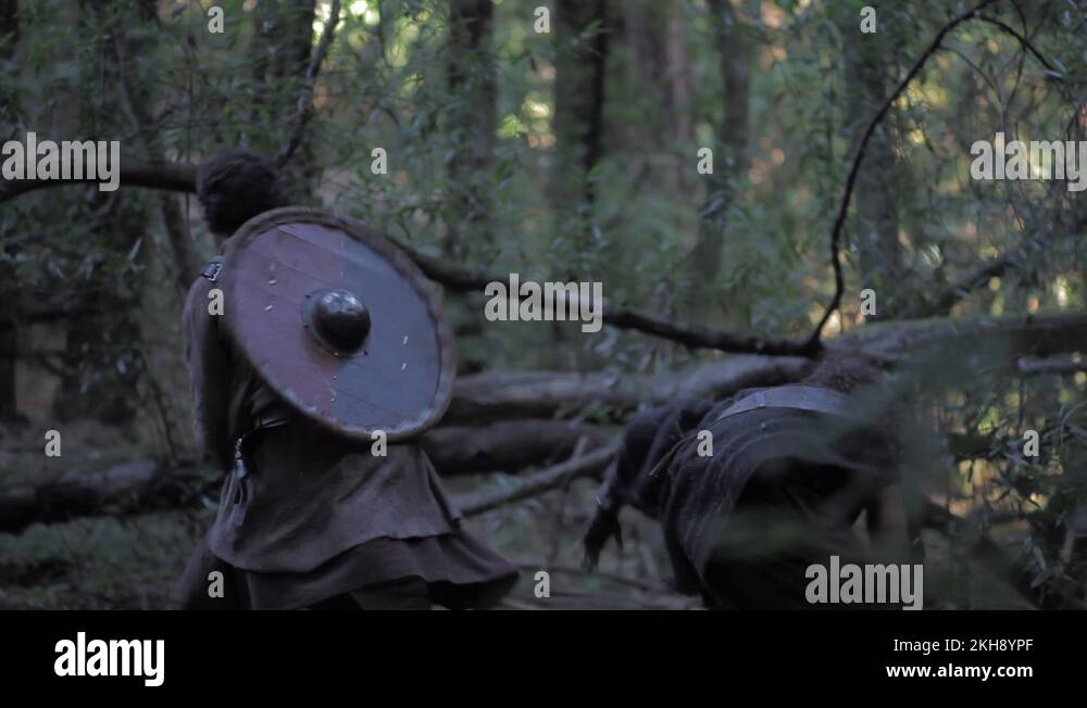 Vikings fighting Stock Videos & Footage - HD and 4K Video Clips - Alamy