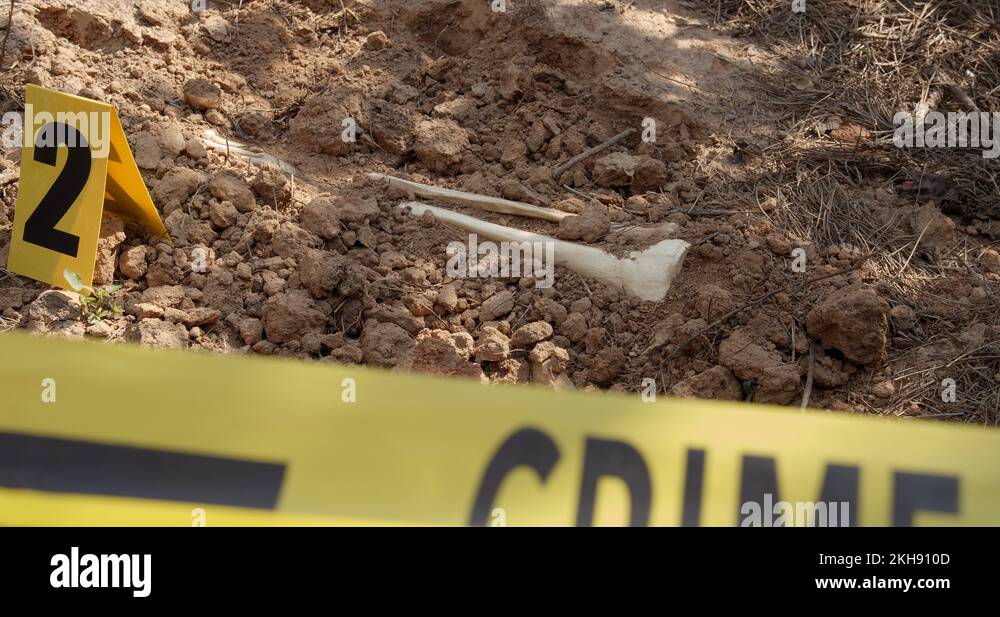 Police Crime Scene With Human Remains Stock Video Footage - Alamy
