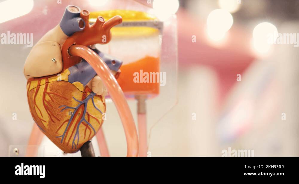 Heart pumping blood Stock Videos & Footage - HD and 4K Video Clips - Alamy