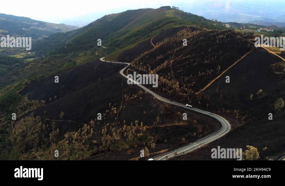 Vegetation after a fire Stock Videos & Footage - HD and 4K Video Clips ...