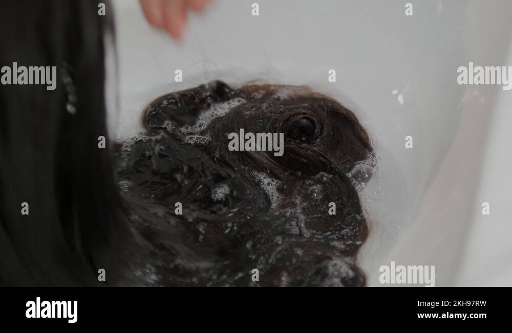 Beautiful young girl wash their hair at the hairdresser Stock Video ...