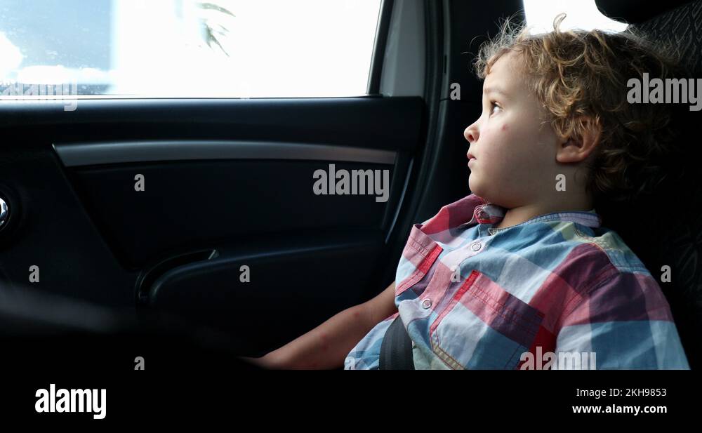 Passenger toddler boy seated in the back of a car looking out the ...