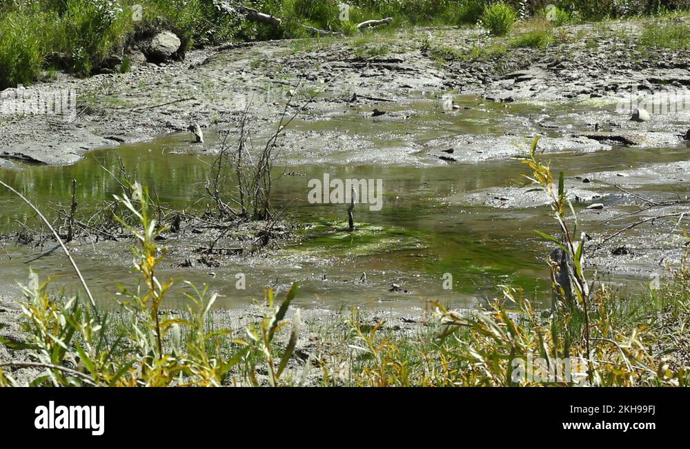 Dried stream heatwave Stock Videos & Footage - HD and 4K Video Clips ...