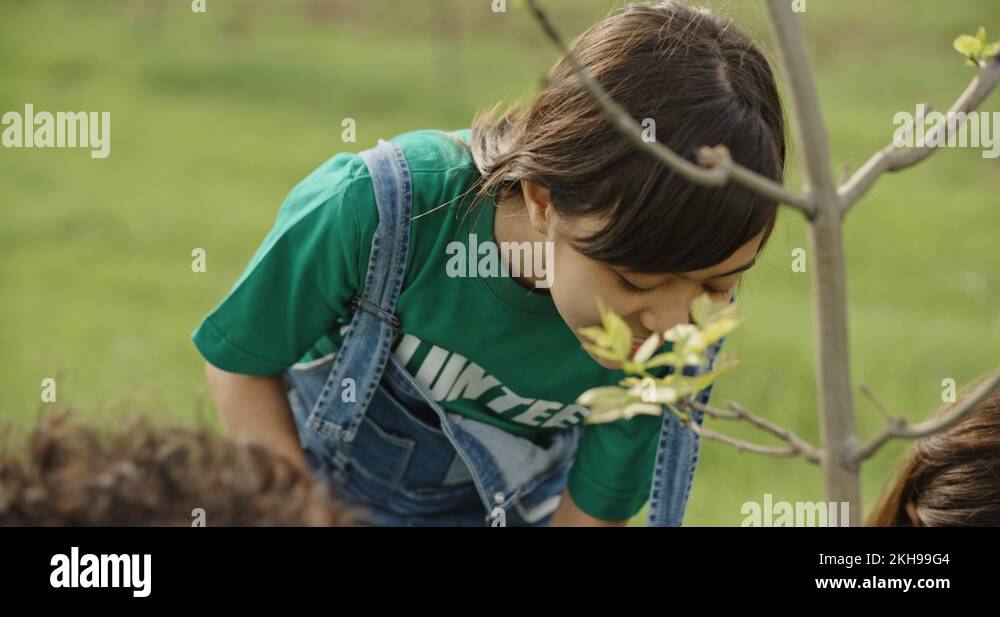 Tree planting campaign Stock Videos & Footage - HD and 4K Video Clips ...