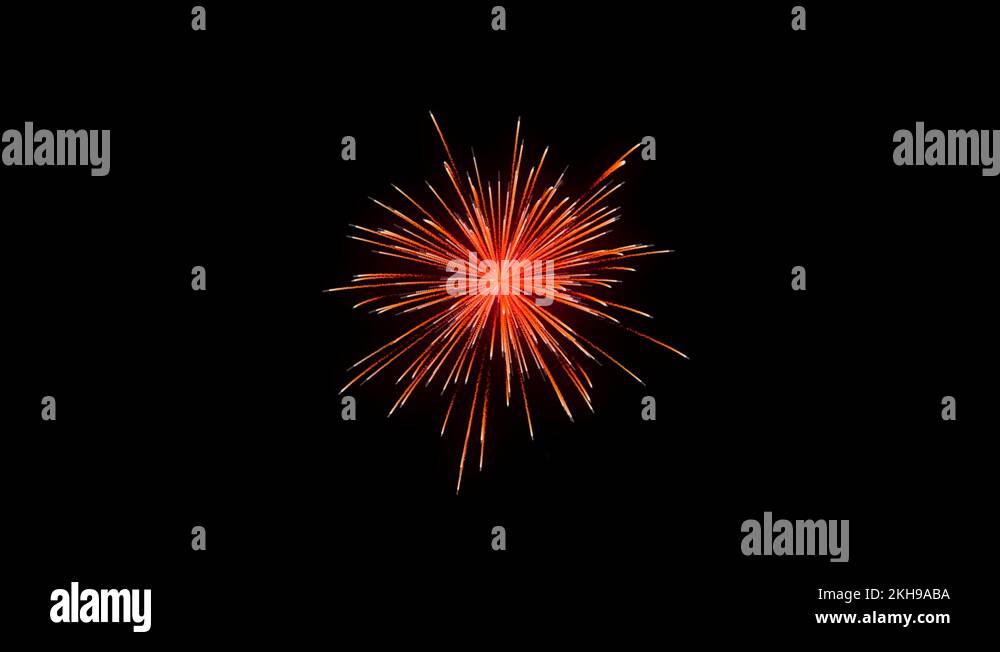 3D Realistic animation firework motion graphic on sky black background ...