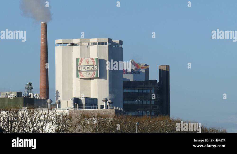 Building beer Stock Videos & Footage - HD and 4K Video Clips - Alamy