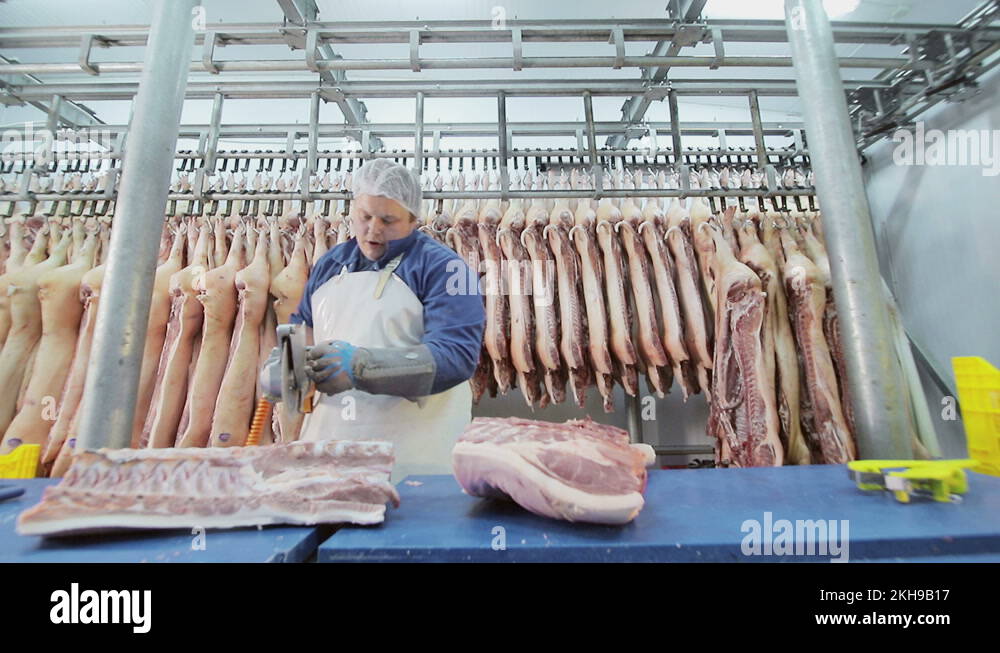 Worker using an electric saw, cuts pieces of pork meat. Deboning of pig ...