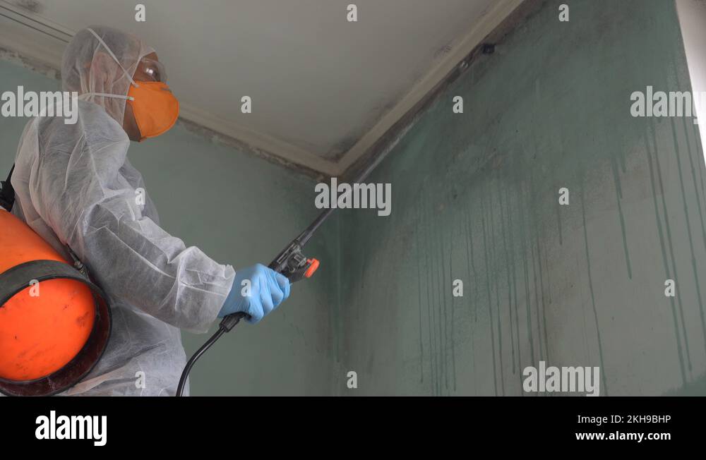 Prevent mold Stock Videos & Footage - HD and 4K Video Clips - Alamy