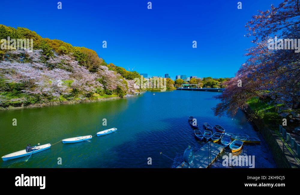 Tokyo in spring Stock Videos & Footage - HD and 4K Video Clips - Alamy