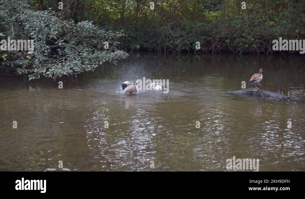The wandle trail Stock Videos & Footage - HD and 4K Video Clips - Alamy