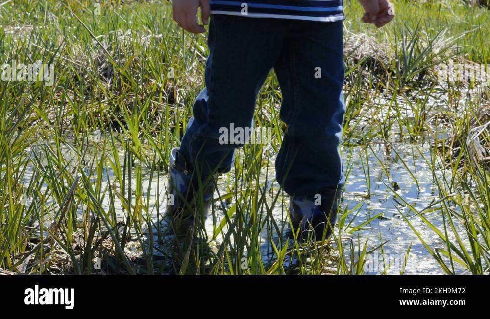 Frog's legs Stock Videos & Footage - HD and 4K Video Clips - Alamy