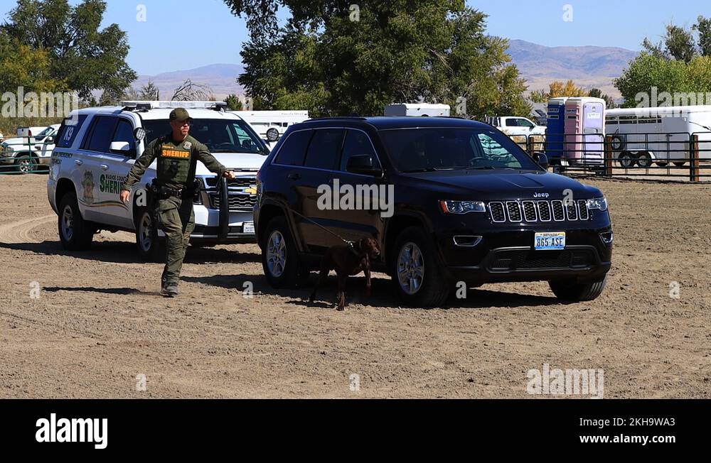 Drug and bomb detection Stock Videos & Footage - HD and 4K Video Clips ...