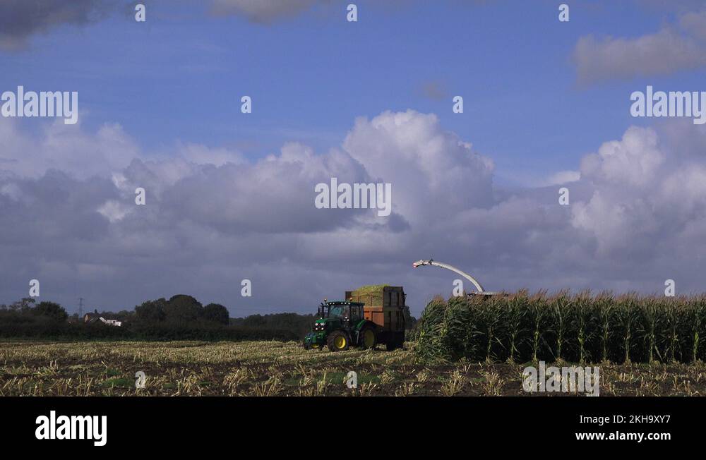 Plough crops uk Stock Videos & Footage - HD and 4K Video Clips - Alamy