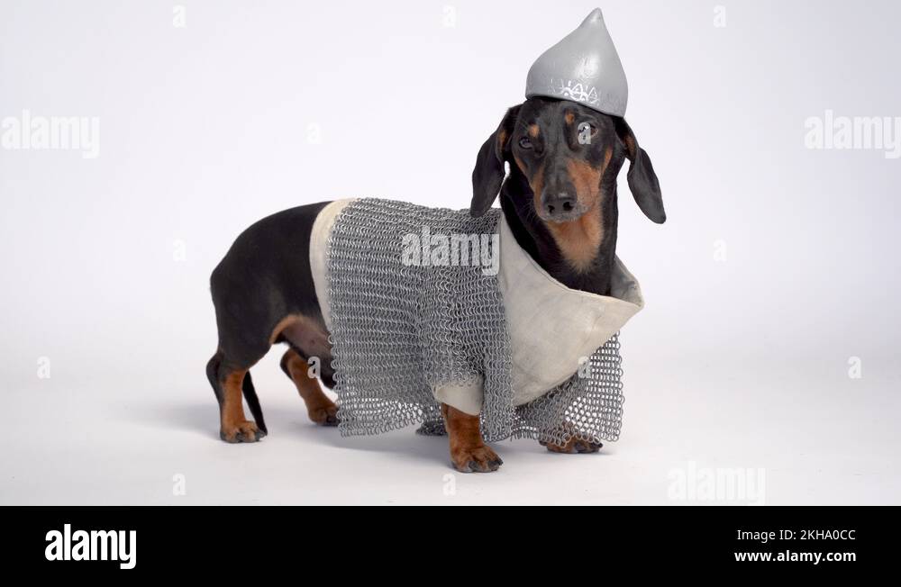 Chain mail suit of armour helmet Stock Videos & Footage - HD and 4K ...