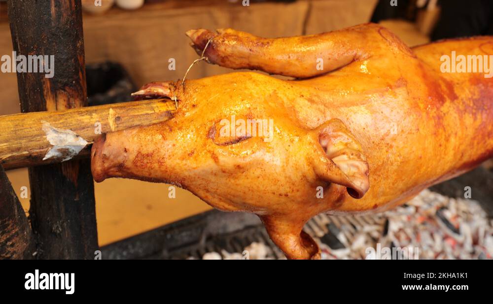 European pig Stock Videos & Footage - HD and 4K Video Clips - Alamy