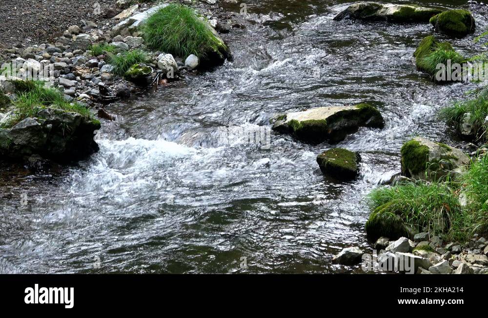 Brook creek Stock Videos & Footage - HD and 4K Video Clips - Alamy