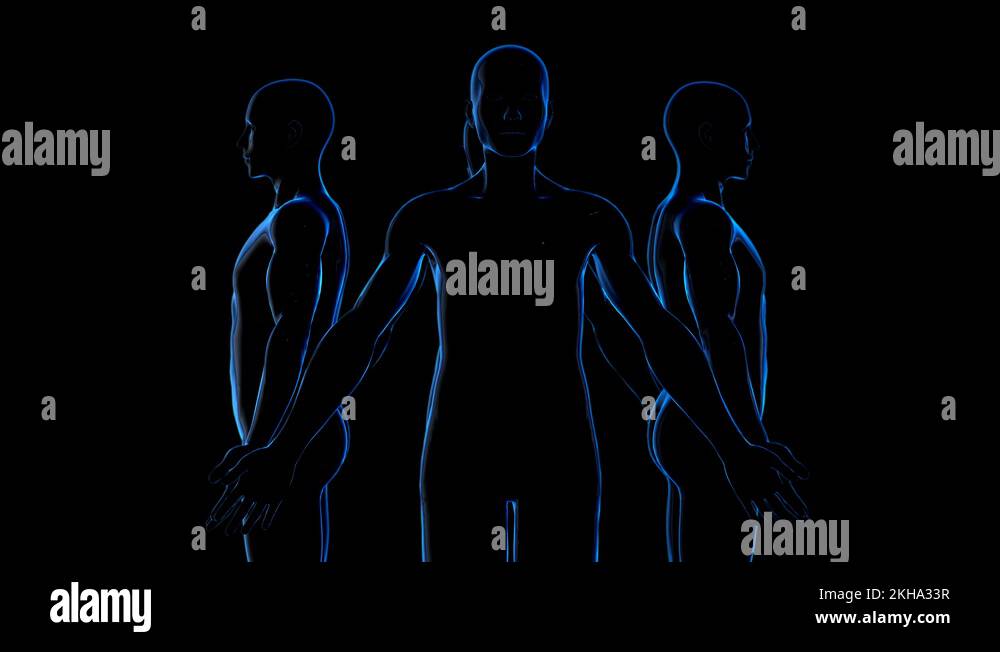 Unity concept Stock Videos & Footage - HD and 4K Video Clips - Alamy