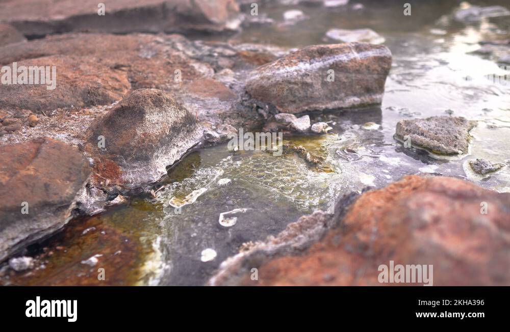 Sulfur bacteria Stock Videos & Footage - HD and 4K Video Clips - Alamy