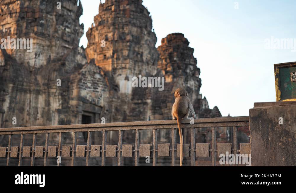 Phra prang sam yot temple Stock Videos & Footage - HD and 4K Video ...
