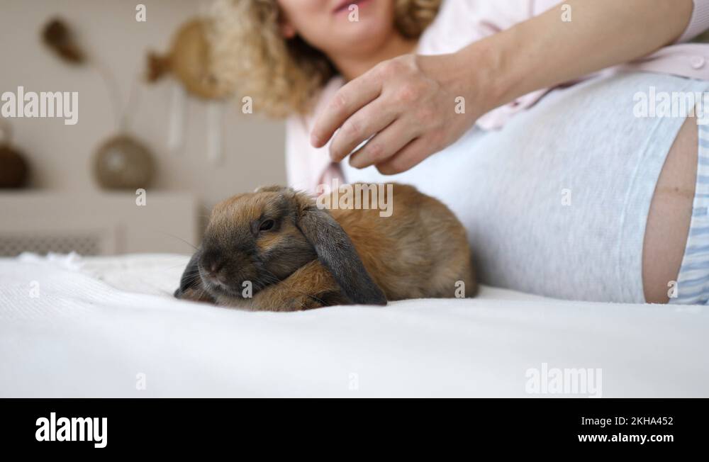 Woman and rabbit Stock Videos & Footage - HD and 4K Video Clips - Alamy