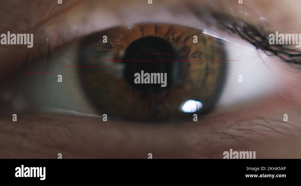 Scanner eye Stock Videos & Footage - HD and 4K Video Clips - Alamy